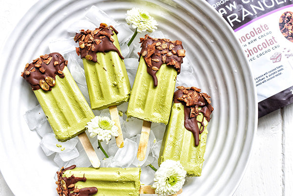 Rawcology Keto-Friendly Avocado Pops Recipe – Rawcology Inc